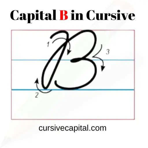 Capital B In Cursive Worksheet And Tutorial Capital B In Cursive Worksheet And Tutorial